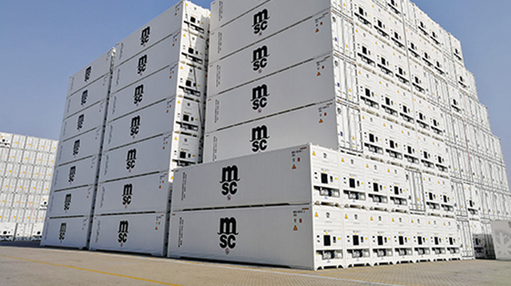MSC Adds Over 5000 Star Cool CA Units to Further Expand its Reefer ...
