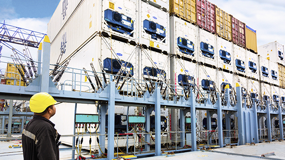 Hear MSCs Experts Speak on Refrigerated Cargo Shipping at Cool ...