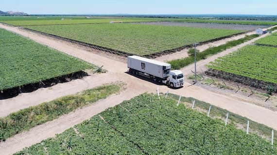 MSC Sponsors Cool Logistics Global 2021 | MSC