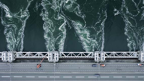 MSC Welcomes the new Future International Trade FIT Alliance | MSC