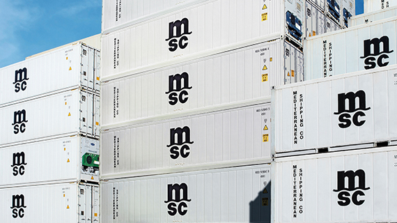 MSC Reports Another Successful Year for its Reefer Cargo Services | MSC