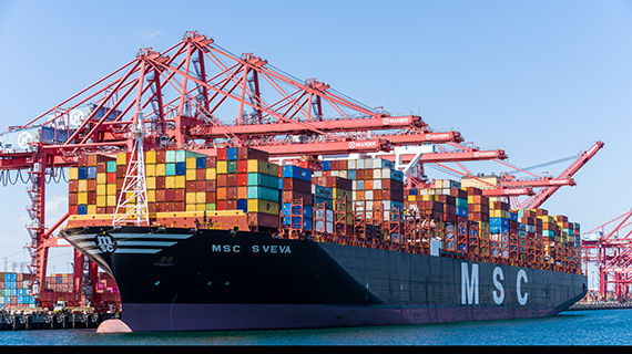TTI Sets North American Record for Highest Container Volume Handled on ...