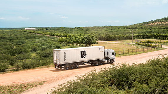 MSC to Offer Reefer Expertise at Worldfood India Summit | MSC