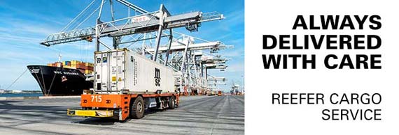 Discover MSCs new Reefer Cargo video | MSC
