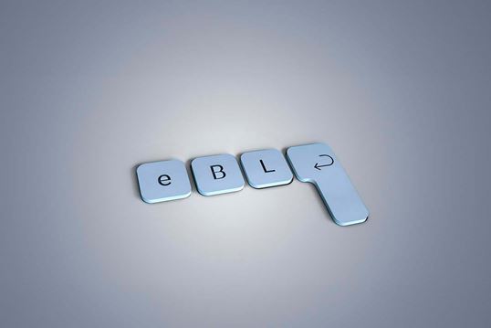 United Kingdom Shipping Services - Offices, Local Information | MSC