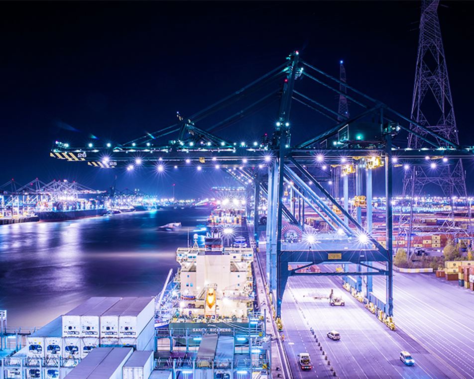 MSC East-West Network: UK Shipping via Asia & Transatlantic | MSC