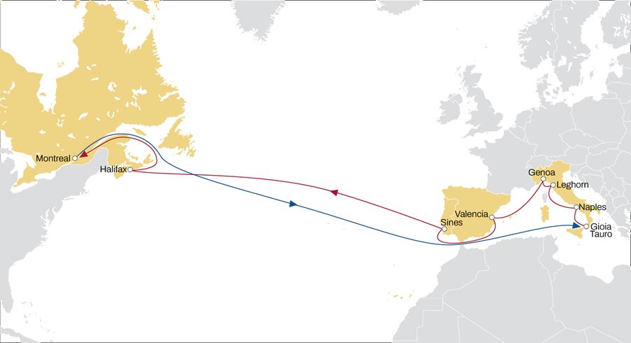 New Med Canadian Service | MSC
