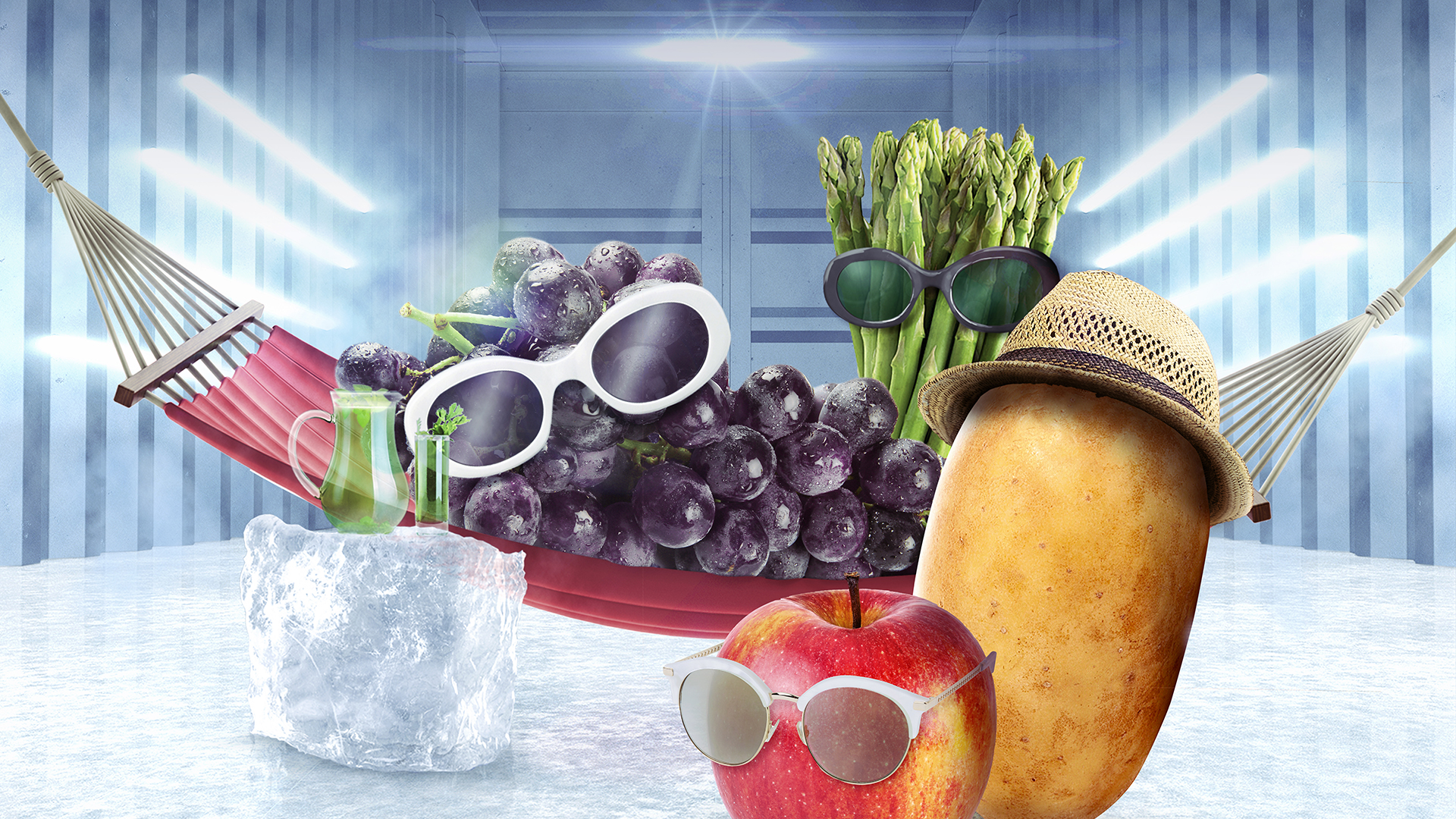 MSC to Showcase Solutions at the Global Produce and Floral Show | MSC