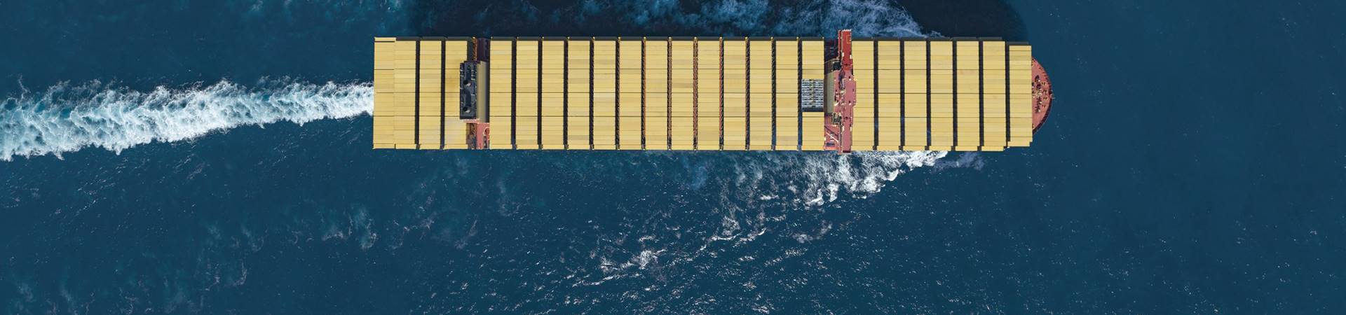 Newsroom - Latest News & Updates | MSC