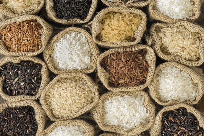 Global Container Shipping Company | MSC