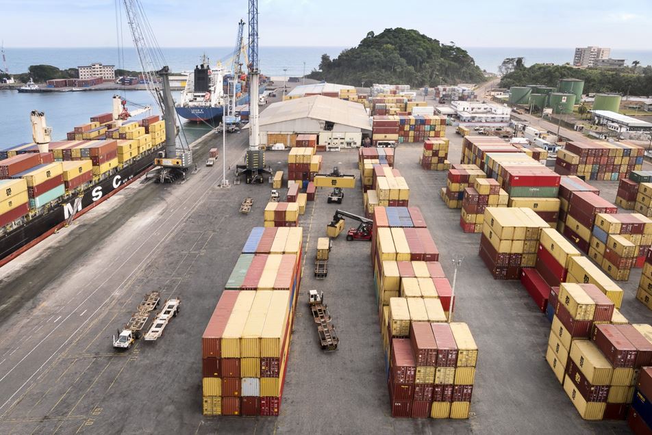 Tea: Shipping Tea from Kenya | MSC