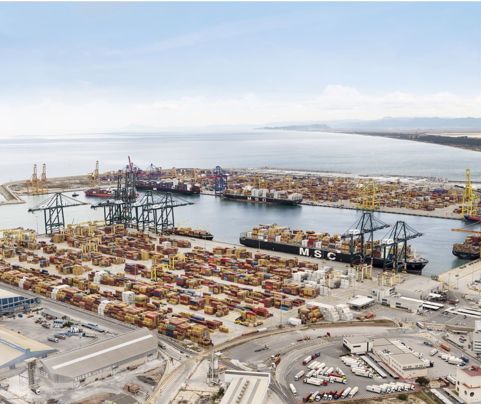 East-West Network | MSC