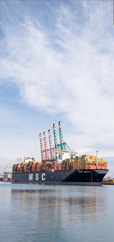 European Shipping Solutions | MSC