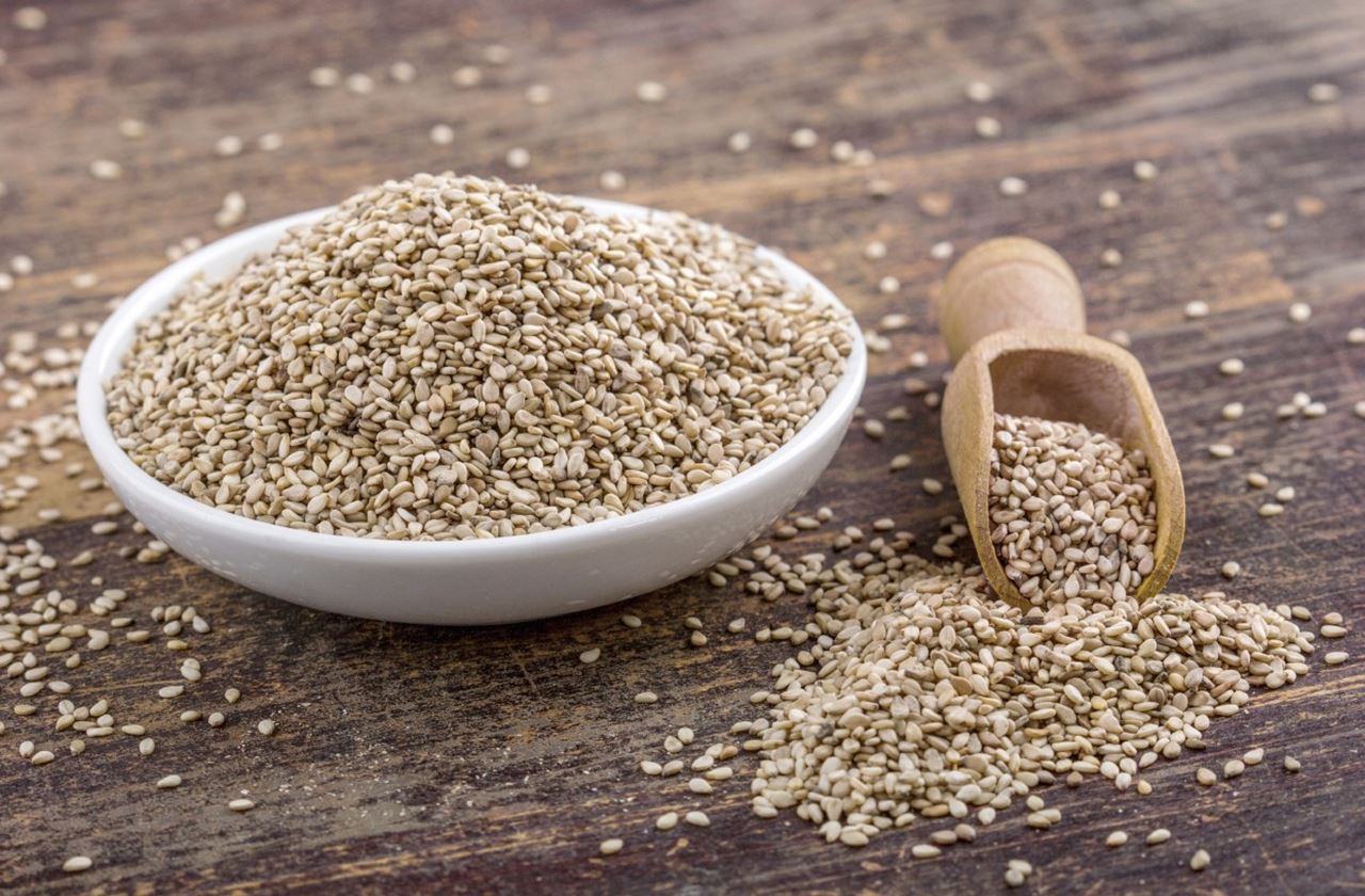 Sesame Shipping Services - Global Logistics | MSC