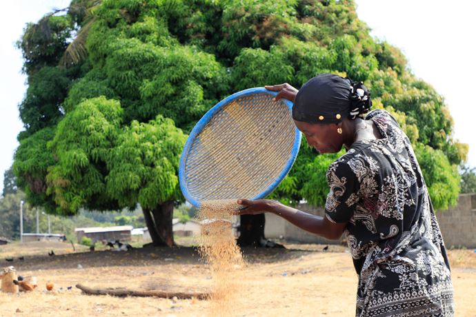 Sesame Shipping Services - Global Logistics | MSC