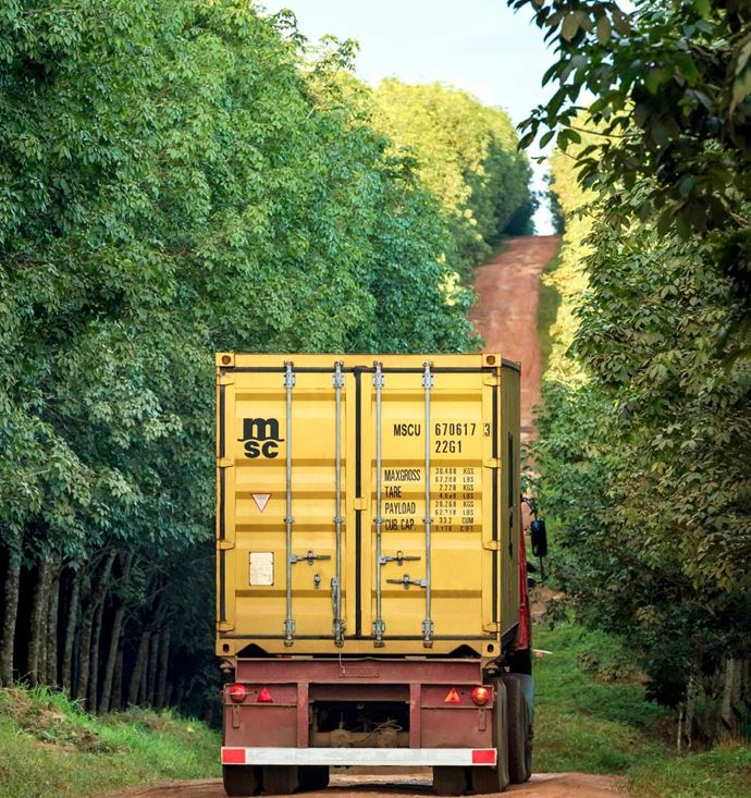 Shipping your tea in Kenya | MSC