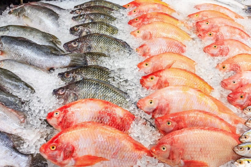 Reefer Containers - Refrigerated Transport Solutions | MSC