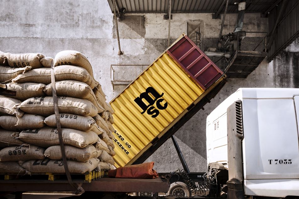 Spain Shipping Services - Offices, Local Information | MSC