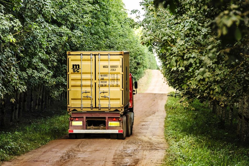 Tea: Shipping Tea from Kenya | MSC