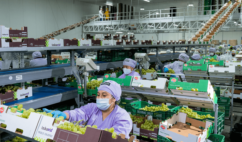 Cargo Warehousing and Storage Solutions | MSC