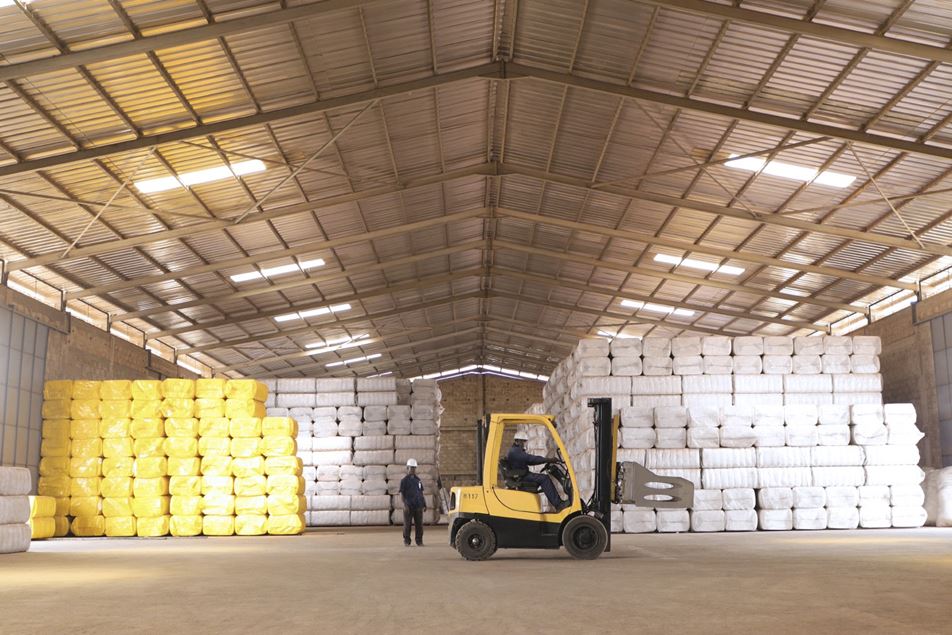 Israel Shipping Services - Offices, Local Information | MSC