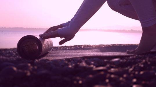 Global Cargo Shipping & Inland Solutions | MSC