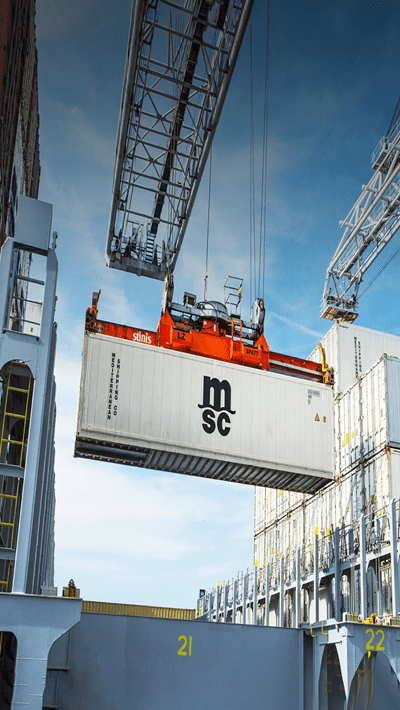 Reefer Containers & Cargo - Refrigerated Transport | MSC