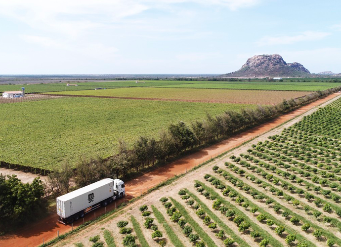 MSC Foundation - Sustainability Initiative | MSC