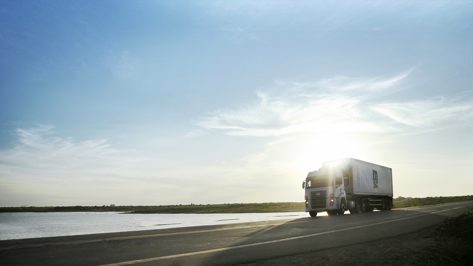 Avocado Shipping Services - Global Reefer Cargo | MSC