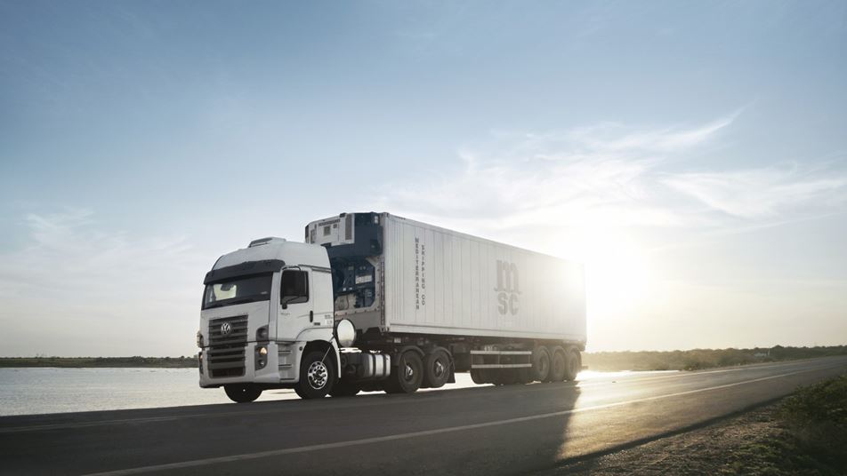 Avocado Shipping Services - Global Reefer Cargo | MSC