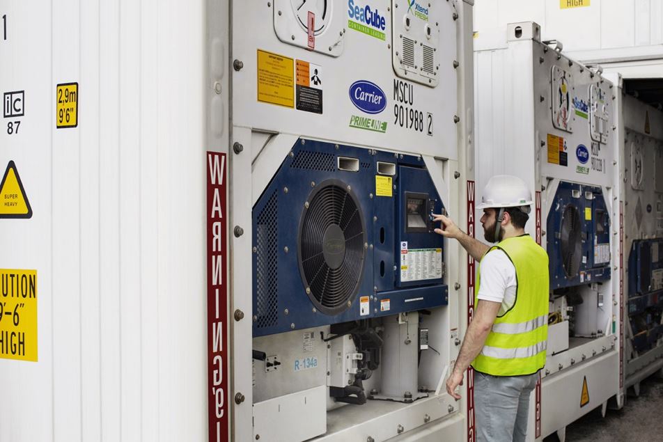 Your partner for citrus shipping | MSC