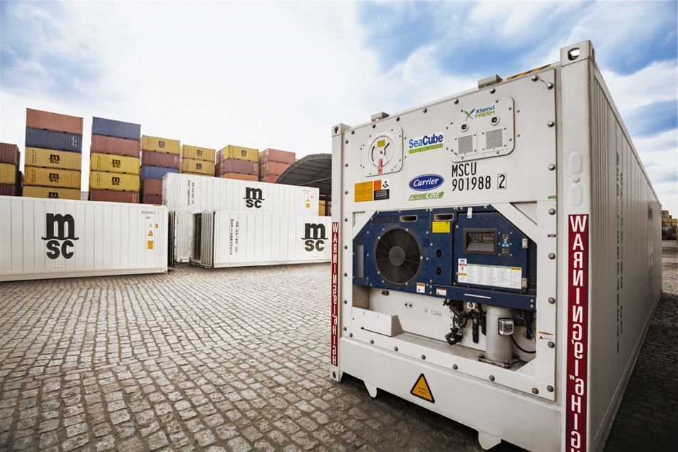 Shipping Dairy Cargo | MSC