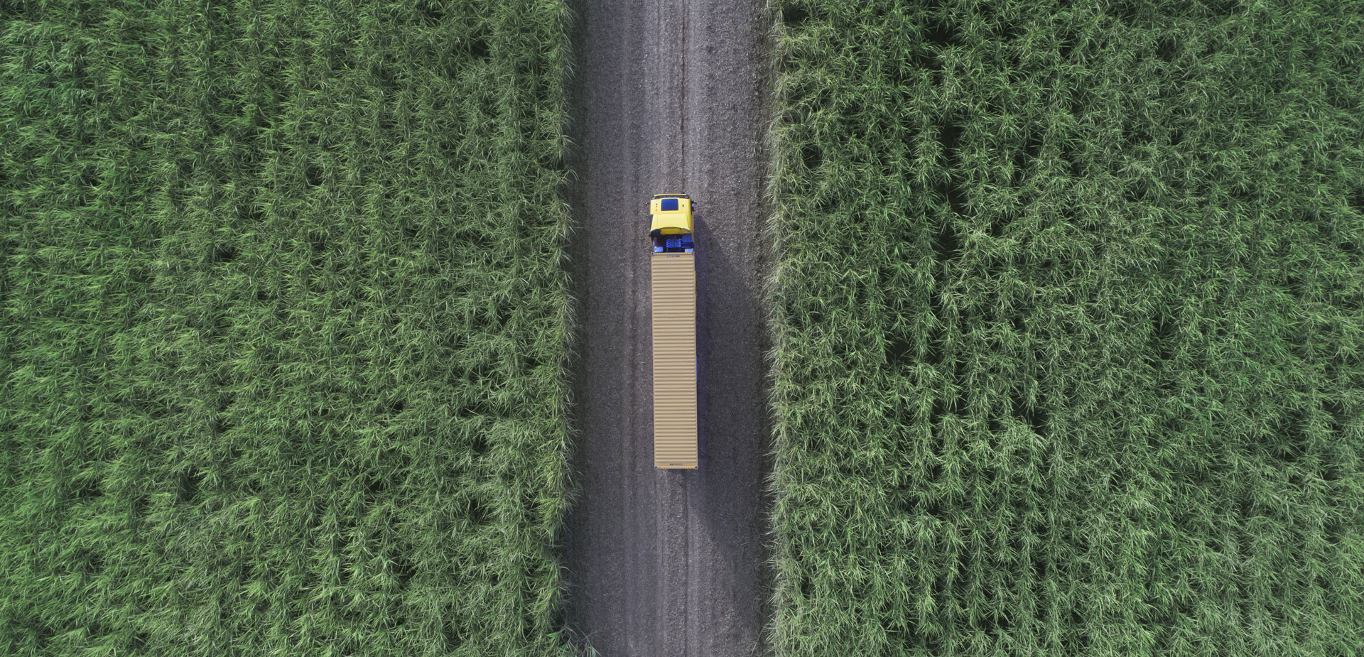 Fostering Inclusive trade | MSC