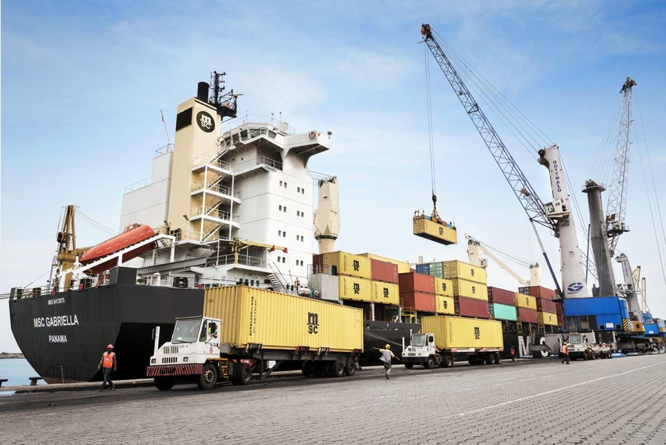 Cashew Nut Shipping Services - Global Logistics | MSC