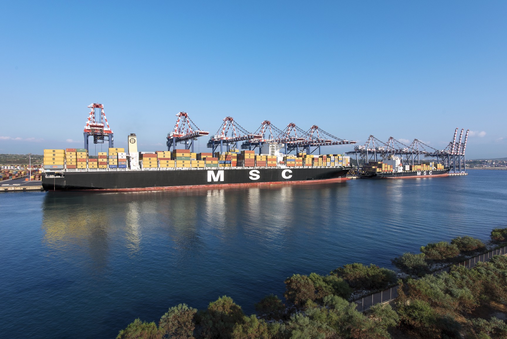 Transatlantic service from Europe to USA | MSC