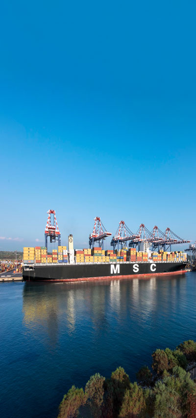 Transatlantic service from Europe to USA | MSC