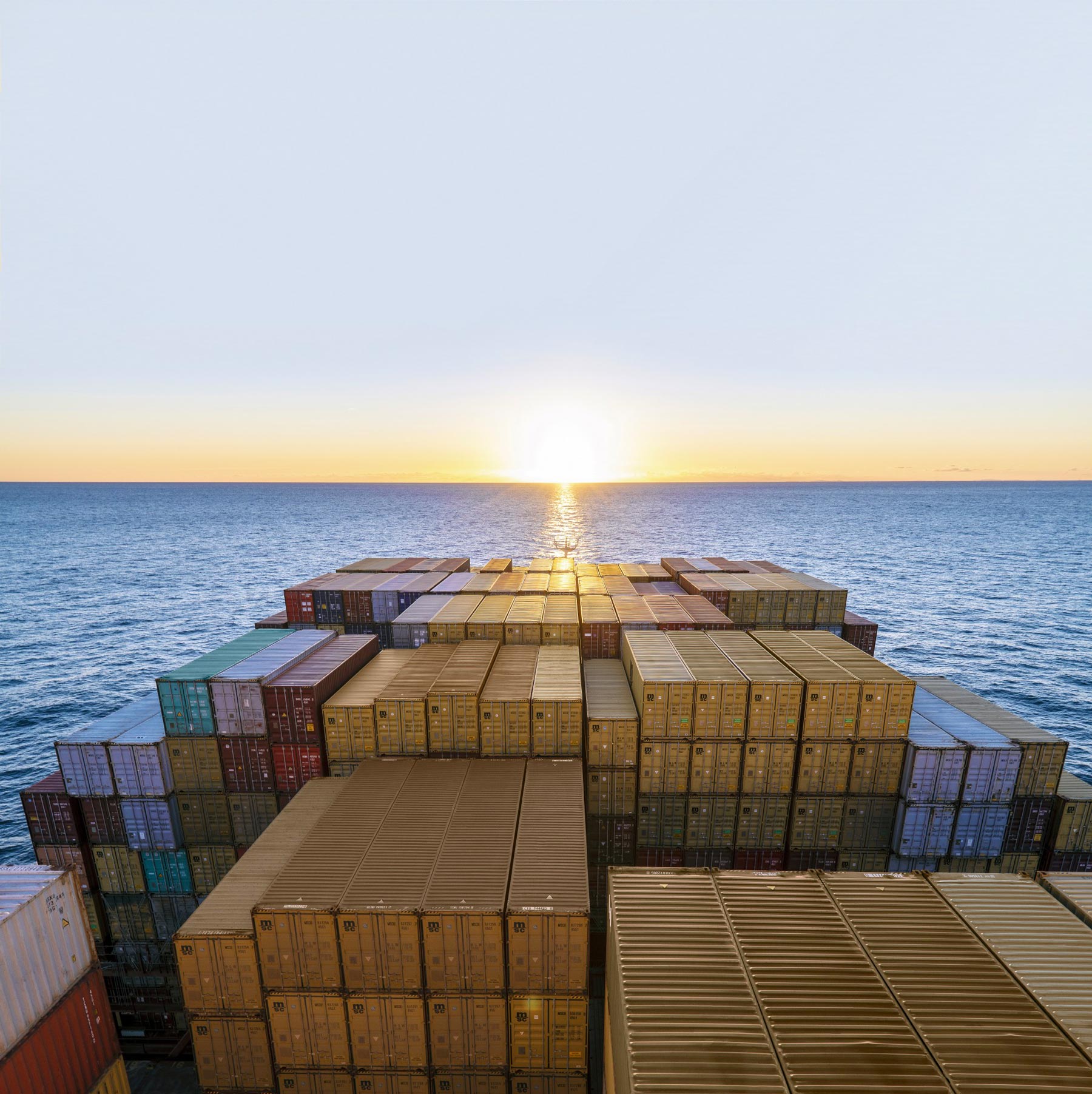 Global Container Shipping Company | MSC