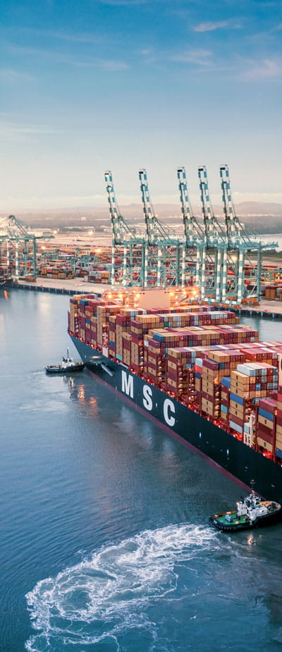 Shipping in Asia with MSC | MSC