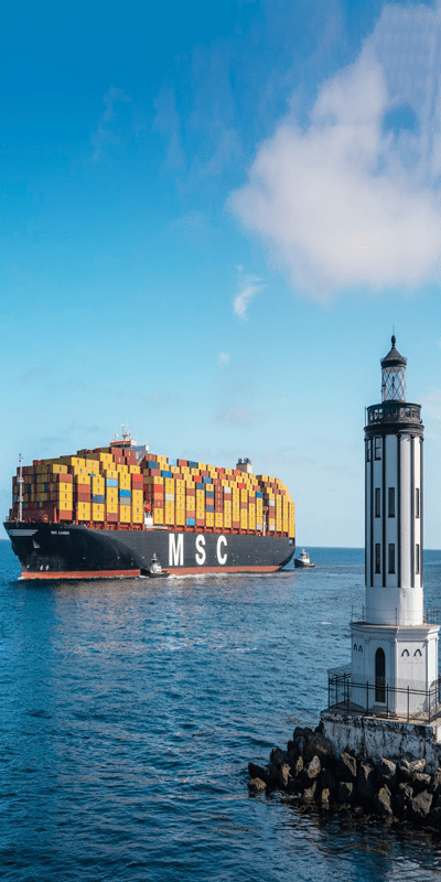 Trade Services | MSC