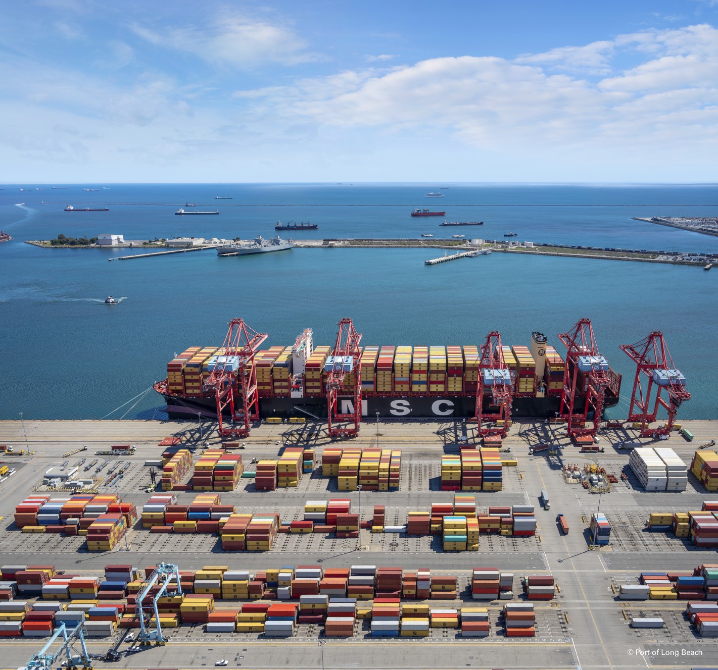 Local Information - Specific Country Shipping Guides | MSC