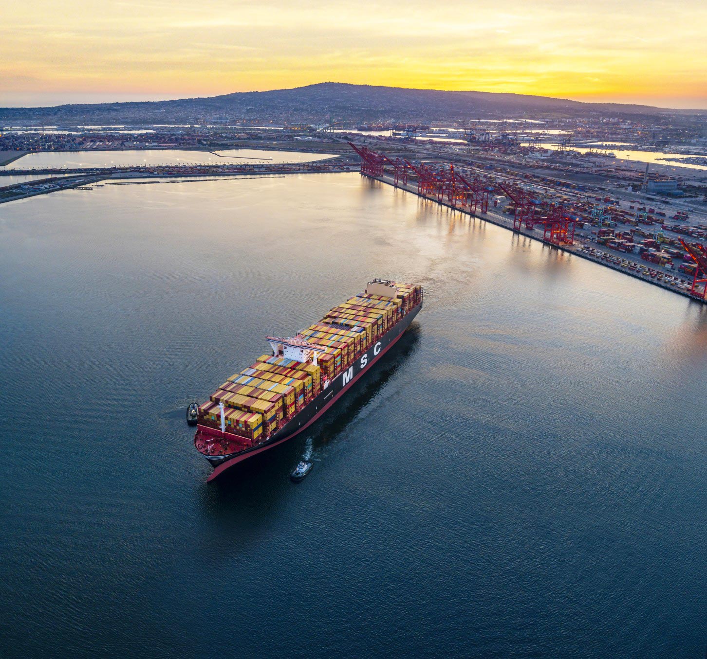 Global Container Shipping Company | MSC