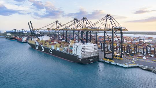 Transatlantic Services | MSC