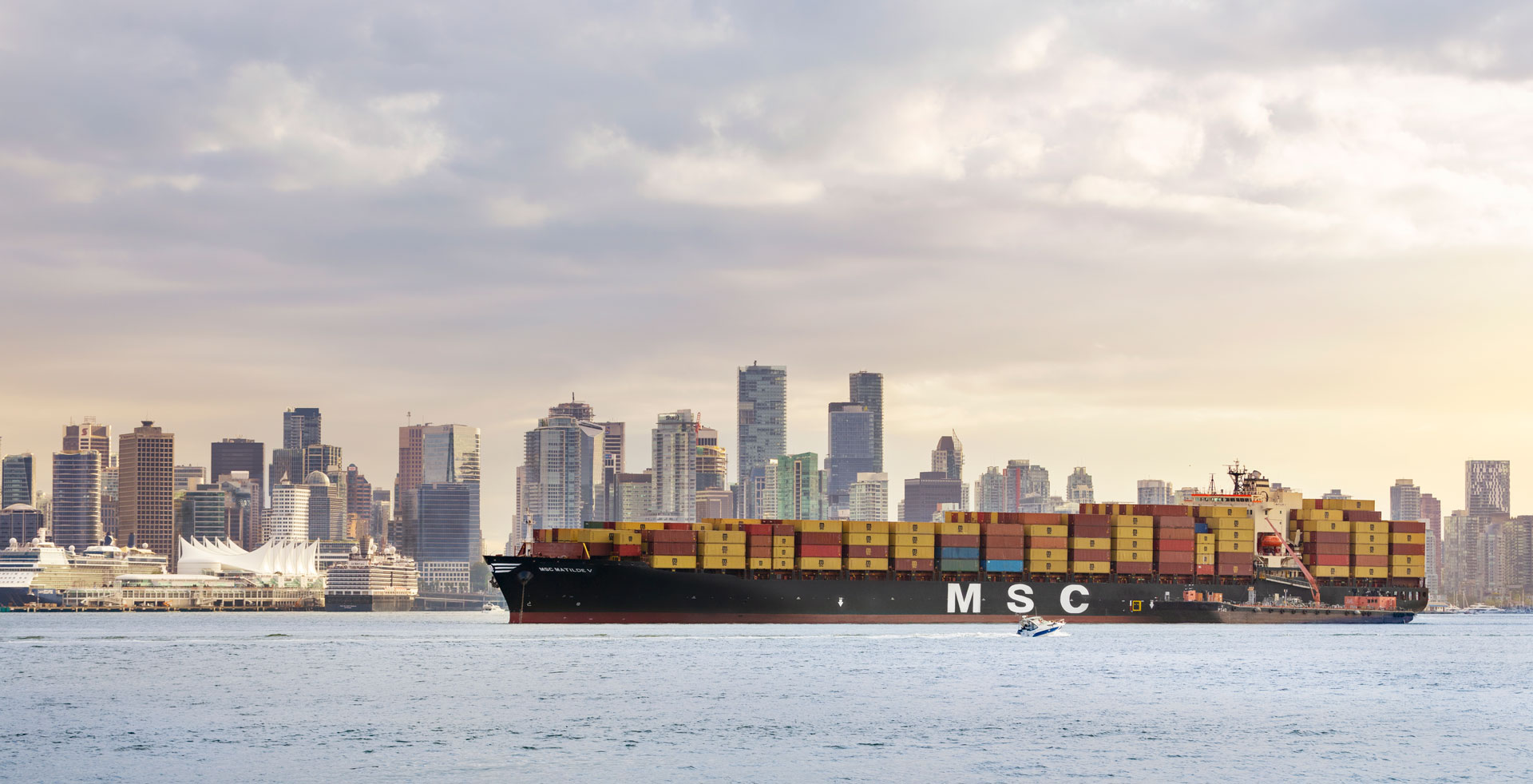 Trade Services | MSC
