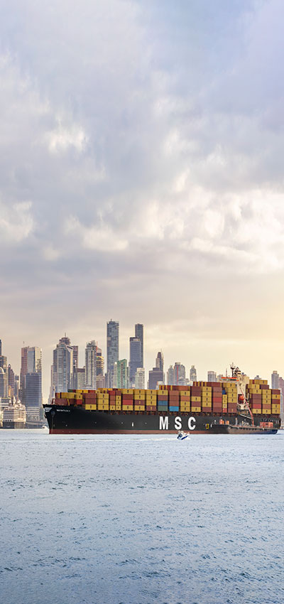 Trade Services | MSC